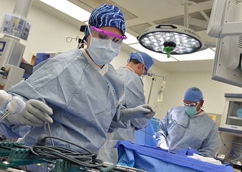 Careers in the Military